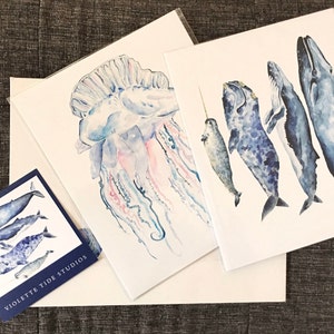 Lobster Watercolor Print, Red Lobster, Lobster Illustration, Nautical ...