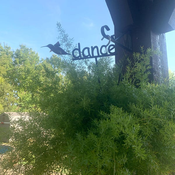 Copper 3 Piece Metal Cactus Set by Clever Goods Co Garden Decor, Garden ...