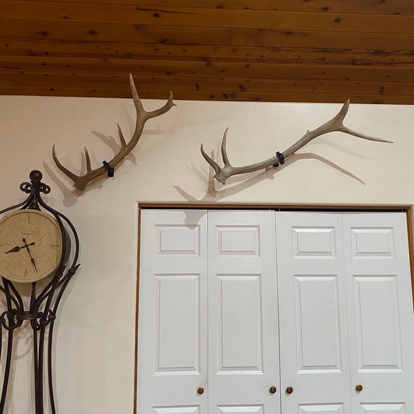 Elk Antler Mounting Clamp, Shed Display (small, Medium, Large) - Etsy