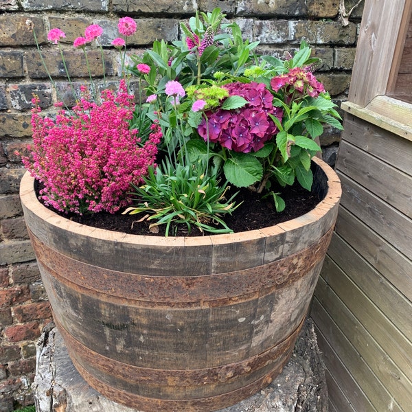 WHISKEY BARREL PLANTER - Reclaimed Oak Cask Planters - Freshly Made to ...