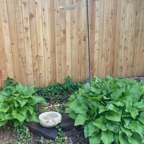 Cat Birdbath for Home & Garden, Cat Birdbath Stone Sculpture, Cat ...