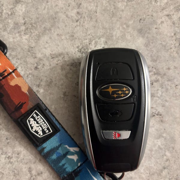 Set of 2 Key Fob Emblem Overlay Decals - Precision Cut - Any Colors ...