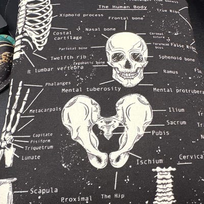 Foxes Erin Condren Happy Planner Pouch Accessory Holder - Etsy