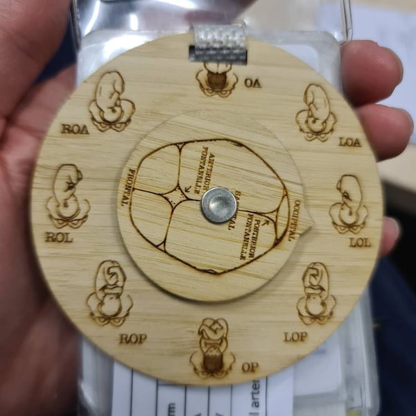 CEPHALIC Bamboo Midwifery Fetal Position Tool for Midwives, Student ...