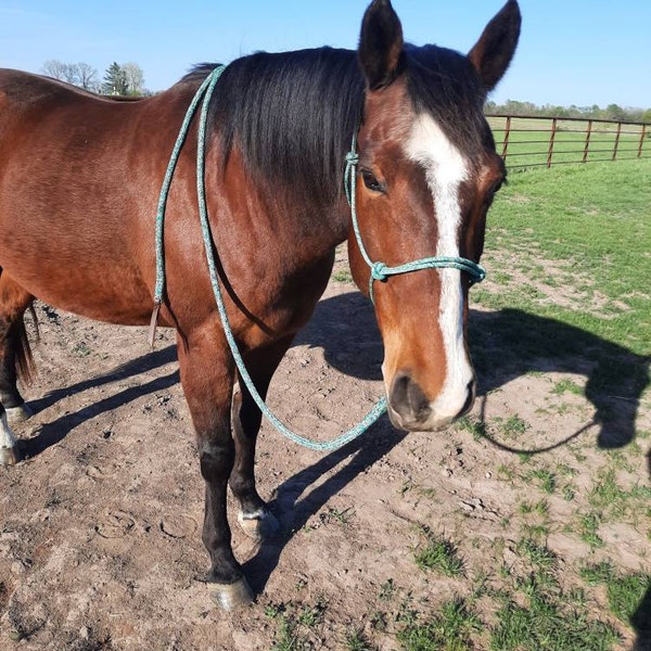 Custom Rope Halter & 12 Foot Attached Lead Rope, Yacht Rope Halter, Horse Halter, Rope Halter ...