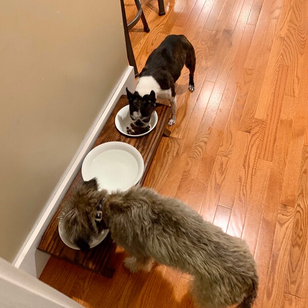 Dog Bowl, 3 Dog Bowl, Raised Elevated Feeder, Farm Table, Carrington ...
