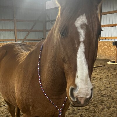 Tie Down Keeper/ Saddle Tassel - Etsy