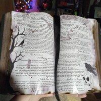 The Grand High Witch Formula 86 Delayed Action Mouse-maker Spell Book ...