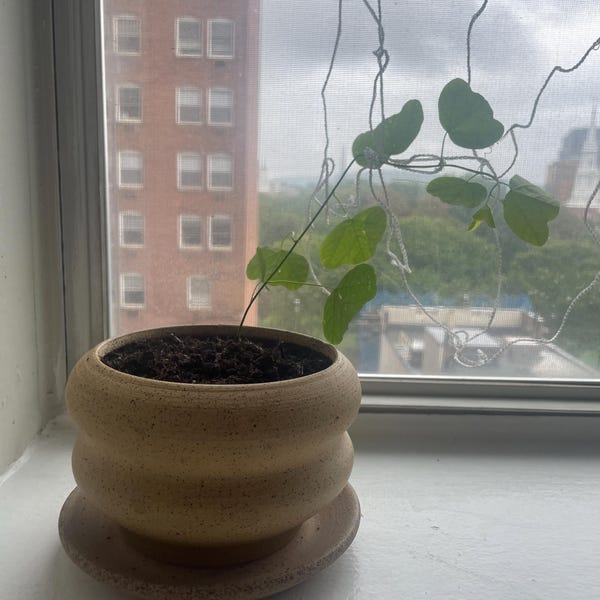 Raw Speckled Clay Planters - Etsy