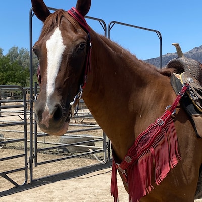 Original Red & Cheetah Tack Set USA Made Bling Leather Tack Western ...