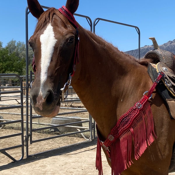 Original Red & Cheetah Tack Set - USA Made - Bling Leather Tack ...