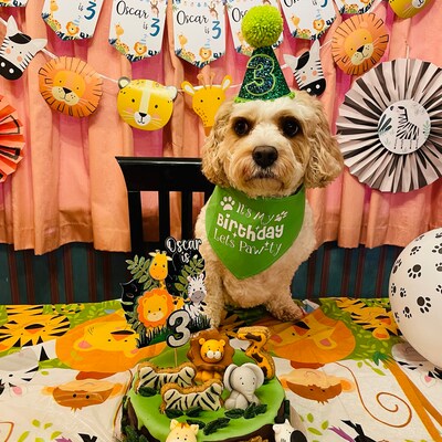 Mustard Birthday Crown Half Birthday Crown Baby 1st - Etsy UK