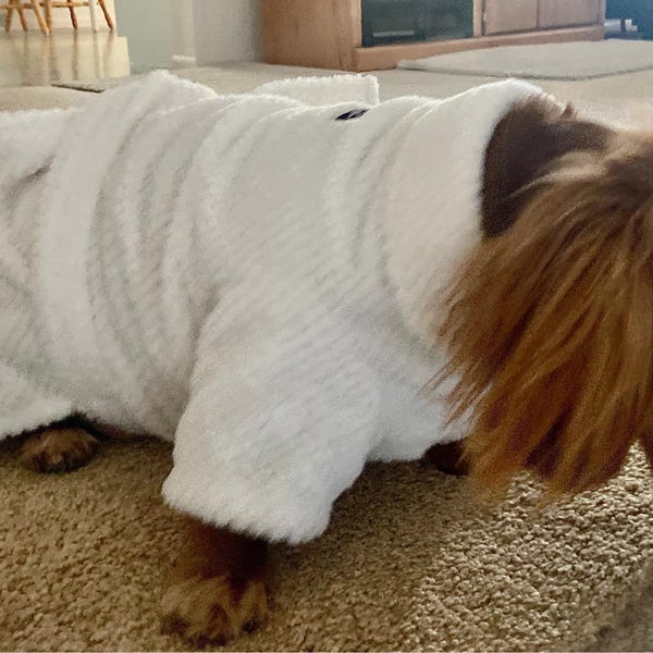 Dog Rugby Shirts. Dog Clothes. Dog Sweatshirts. Dog Outdoor Attire ...