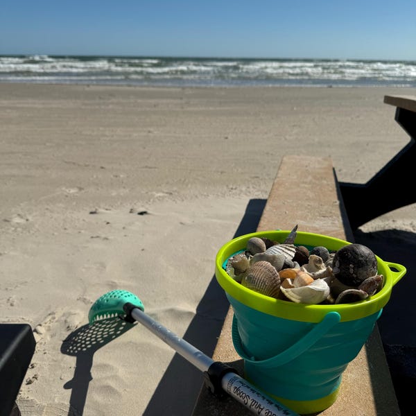 Shell Scoop, Rock Hunt Scoop, Shark Tooth Sifter, Sand Scoop, Rock ...