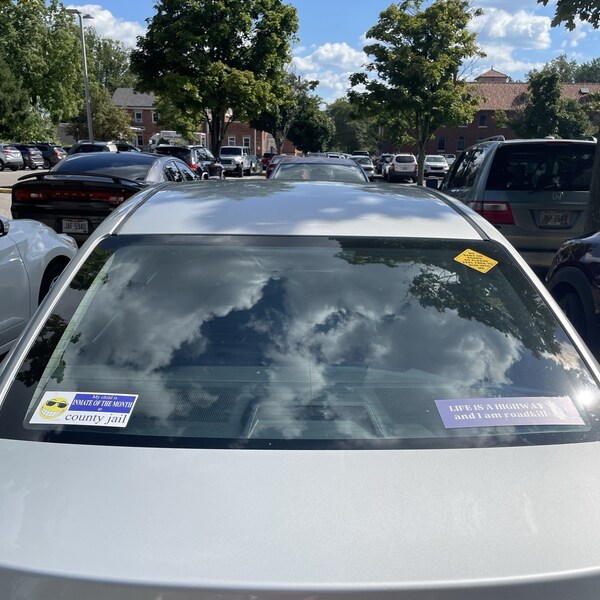 Life is a Highway and I Am Roadkill! Funny Opossum Rodent Marsupial ...