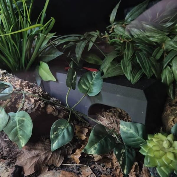 Reptile Coffin Hide | 3D Printed Gothic Enclosure Decor for Snakes ...