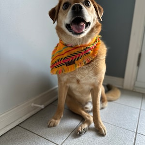 LARGE Baja Dog Poncho Mexican Dog Hoodie Dog Clothes Dog - Etsy