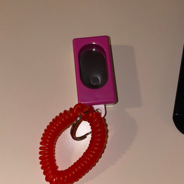 Leerburg Box Clicker - Etsy