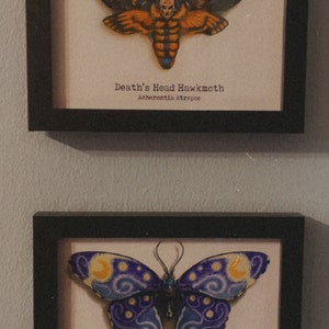 Edvard Munch's the Scream Hawkmoth Painting Print 6x8 Framed ...