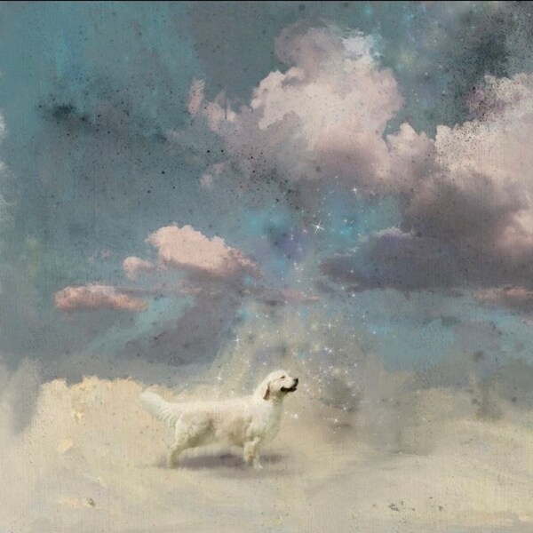 Pet Memorial, Pet Loss, Rainbow Bridge, Pet Sympathy Art, Dog Art ...