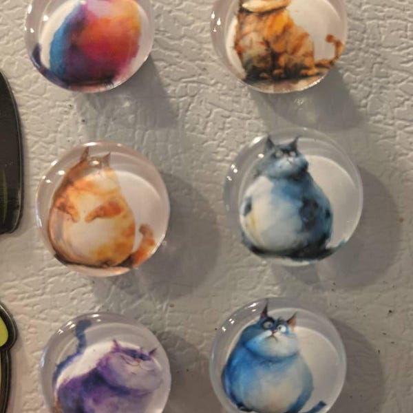 Seashell Magnets, Bookmark, Necklace, Glass, Cabochon, Fridge Magnets ...