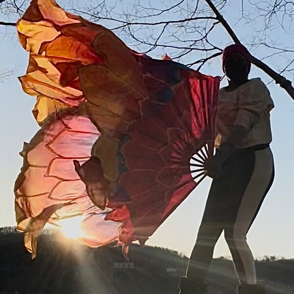 Mothra Wings Pattern of Godzilla 2019. Belly Dance Unique Wings Made to ...