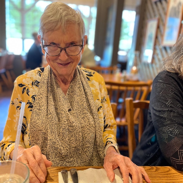 Dignified Adult Bib, Napkin at Your Neck, Stain Resistant, Machine ...