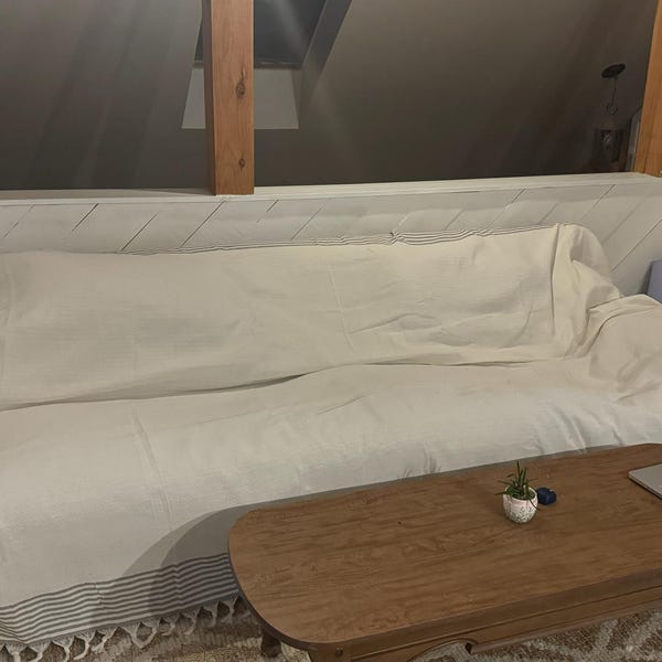 Large Sofa Slipcover 180 X 220 Cm Couch Sofa Seat Cover Dog Pet ...