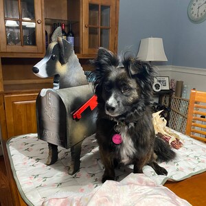 Labrador Retriever Mailbox Lab Unique Dog Mailbox Pp003 | Etsy