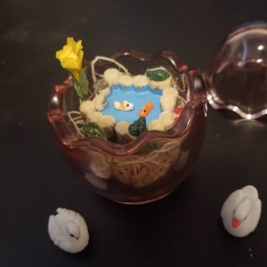 World’s Tiniest Fish/ Tiny Fish/ Mini Fish/ Micro Mini Fish/ Tiny ...