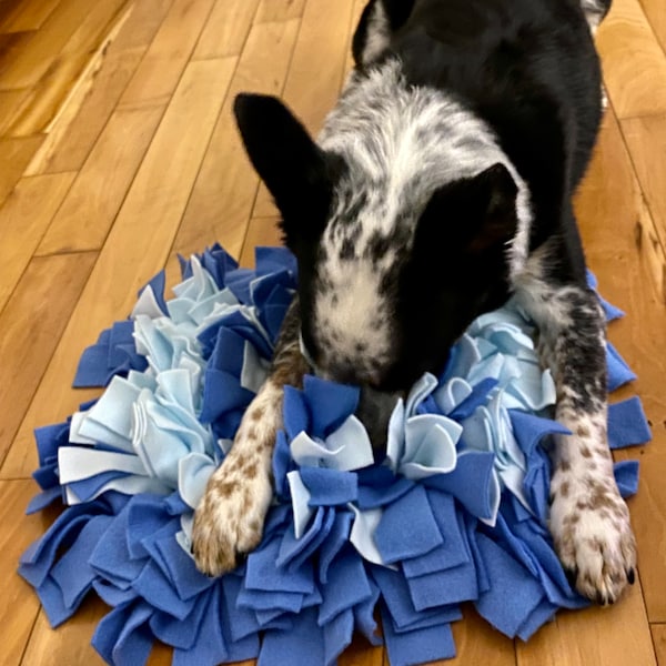 Nose-n-nibble Premium Snuffle Mat: Food Foraging Fun for Dogs, Cats ...