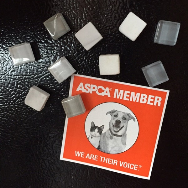 Texas Bluebonnet Pride Stone Tile Travertine Coasters Set of 4 - Etsy