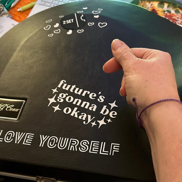 Cosmo Sticker the Rose K-pop Vinyl Sticker Dual Dawn to Dusk Tour ...