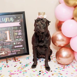 Camo Deer Gender Reveal Sticker Hunting Gender Reveal Decor - Etsy