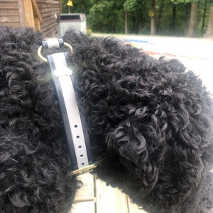 Leather Safety 1.5 Collar for Hunting Dog / Outdoor Dog, Hunting Dog ...