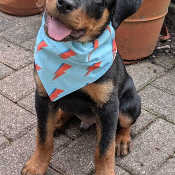 Bib | Retro Science Baby Bib | Geeky Nerdy Scientist Chemist Biologist ...