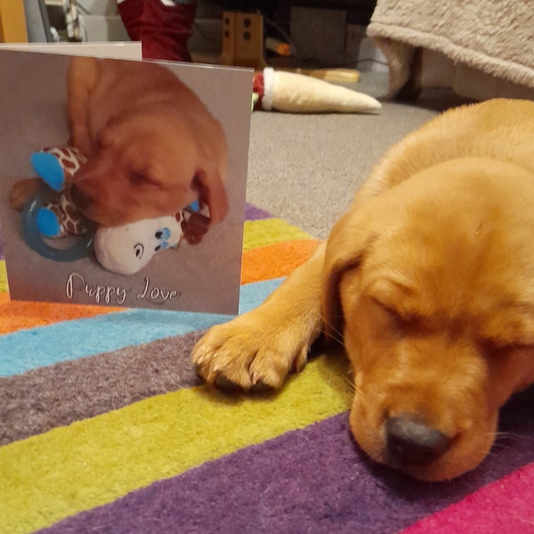 Fox Red Labrador Fathers Day Card - Etsy