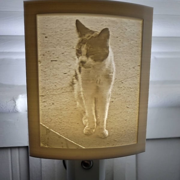 3D Printed Pet Photo LED Night Light, Personalized Pet Sympathy Gift ...