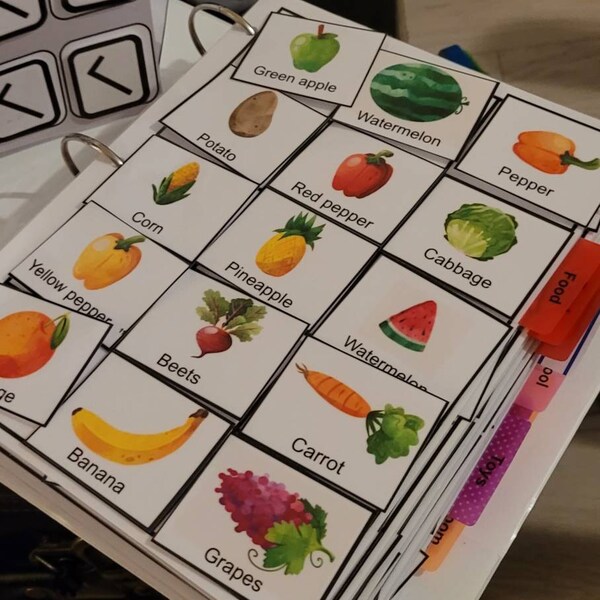 1,000 Pictures Card for Communication, Speech Therapy, Autism Nonverbal ...