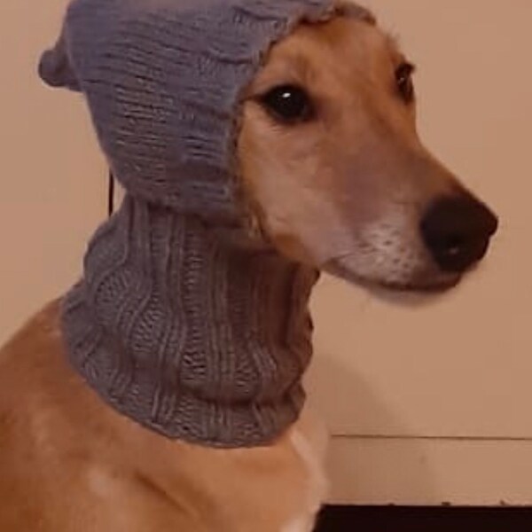 Dog Snood Knitting Pattern/ Written and Chart Instructions / All Sizes ...
