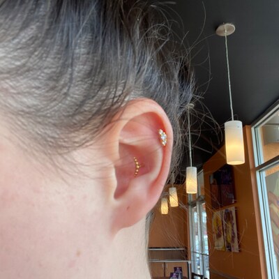 Gold Implant Grade Titanium Curved Beaded Labret for Conch, Flat ...