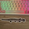 Matte Coated Vinyl Sticker Ghost Knifefish Sticker, Knifefish Gift ...