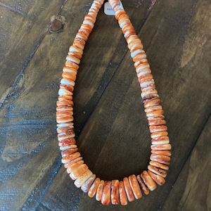 NATURAL Spiny Oyster Shell, Graduated Gorgeous Orange Color. Full ...