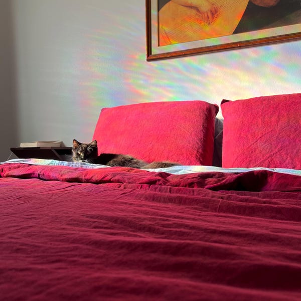 Raspberry Linen Bedding Set 1 Duvet Cover and 2 Pillowcases Softened ...