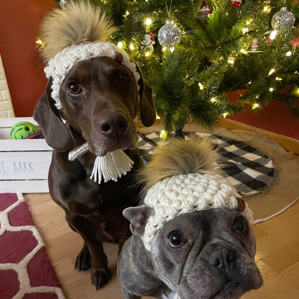 Crochet Pet Hat Crochet Dog Hat Crochet Cat Hat Crochet Dog Beanie Pet ...