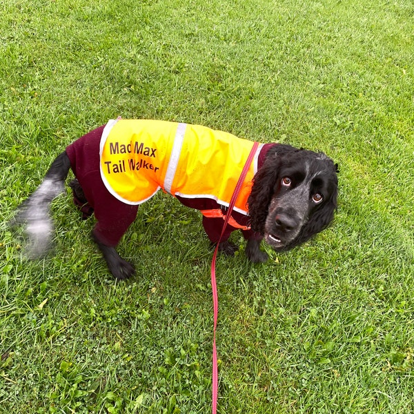 Personalised Dog High Vis Vest Coat Safety Reflective Pet Hi-vis Custom ...