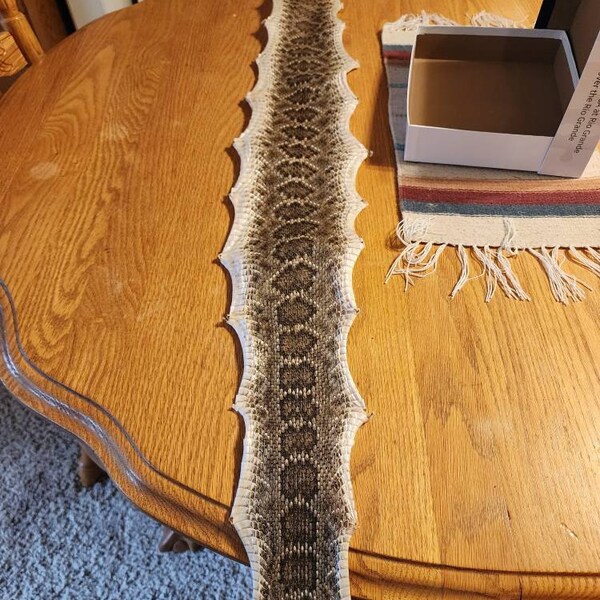 Authentic Diamondback Rattle Snake Hides, Leather, Crafts, Sewing ...