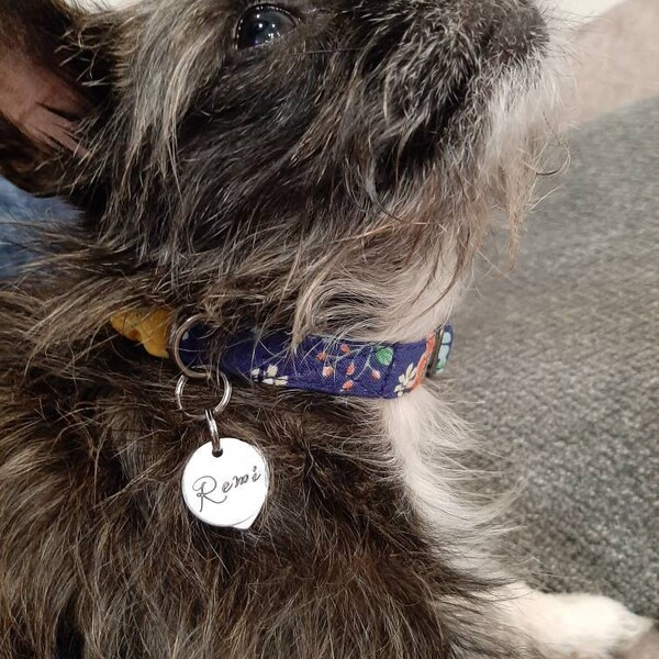 Custom Hand Stamped Dog ID Tag, Personalized Dog Tag, Tag for Toy ...