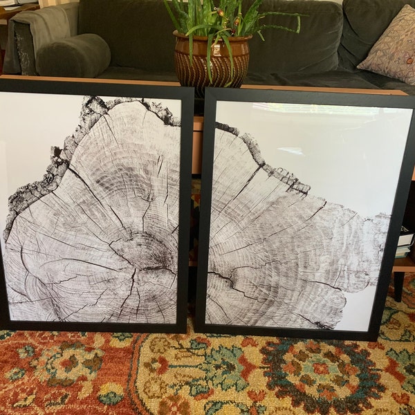 TREE RING ART Print, Tree Ring Print, Set of 6 Prints, Log Print Tree ...