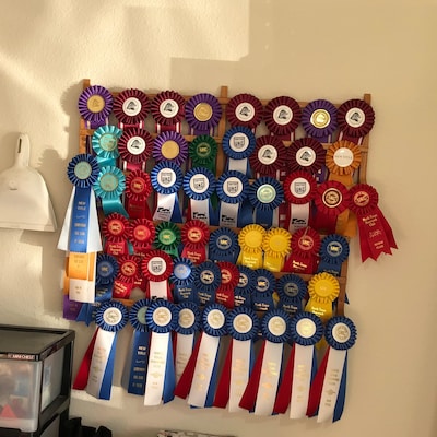Horse Ribbon Rack Dog Ribbon Display 4-H Ribbon Display Award Ribbon ...